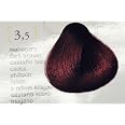 Amazon.com : Salerm Vision Permanent Cream Haircolor : Chemical Hair ...