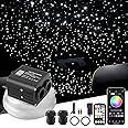 Amazon.com: SUNKENET 20W Twinkle Starlight Headliner Kit, Star Lights ...