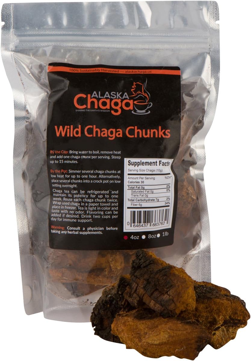 Amazon.com: Alaska Chaga Mushroom Chunks (4 Oz) - Organic, Wild ...
