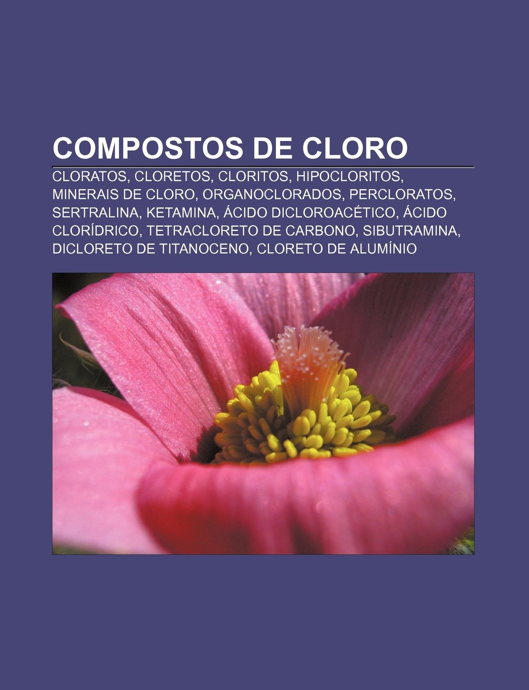 Compostos de Cloro: Cloratos, Cloretos, Cloritos, Hipocloritos ...