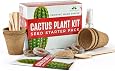 Cactus Kit - Grow Your Own Cacti Plants Indoors - Unusual Gardening ...