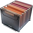 Amazon.com: SETTFRFE Letter Size Hanging File Folder Organizer,Metal ...