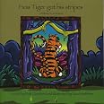 How Tiger Got His Stripes: A Folktale from Vietnam (Story Cove ...