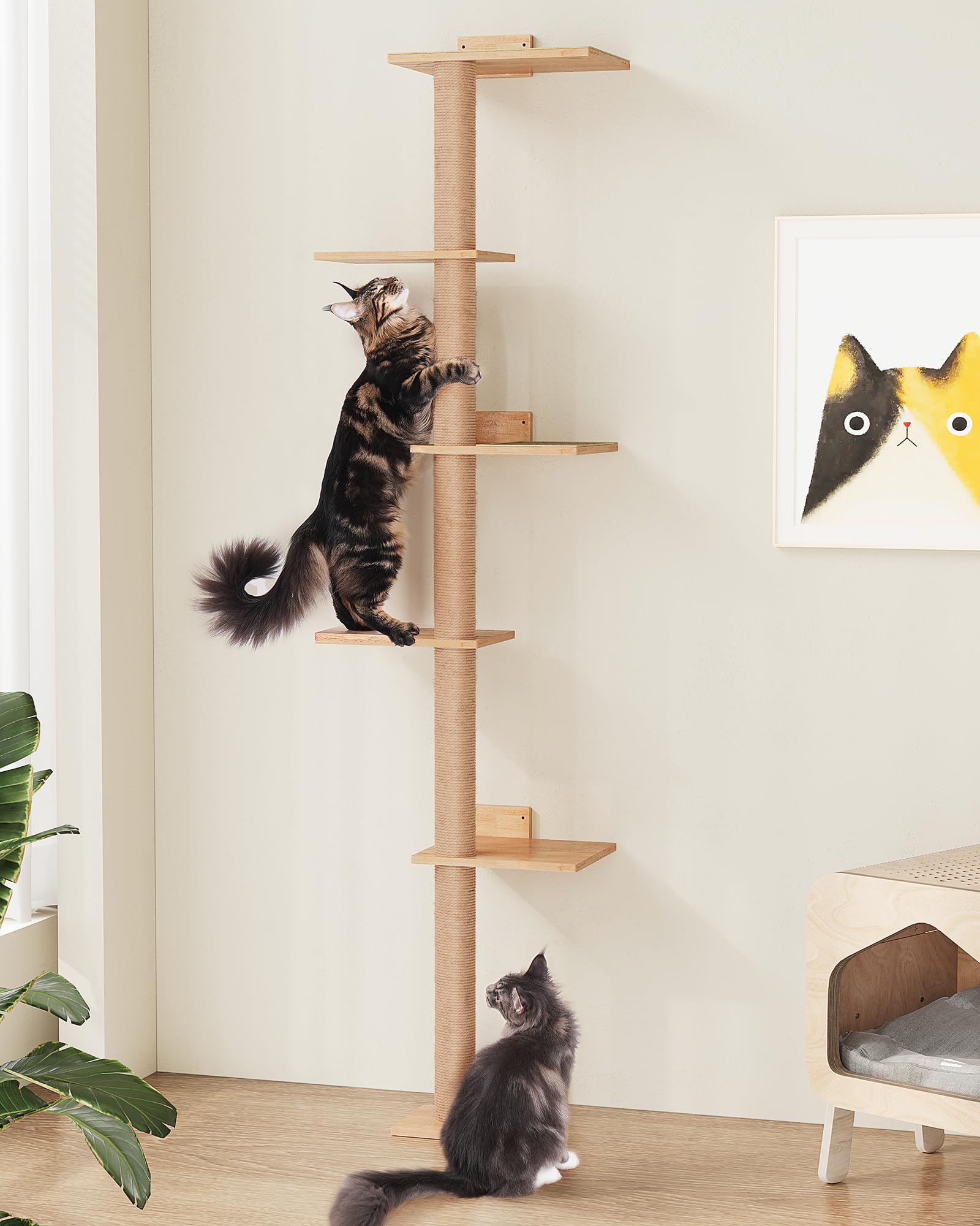 Aechonow Floor to Ceiling Cat Tree Wall Mounted, Tall & Sturdy Cat ...