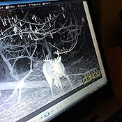 Amazon.com : Primos Bullet Proof 2 8MP Trail Camera : Sports & Outdoors