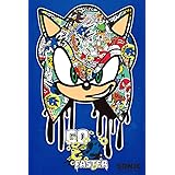 Amazon.com: Pyramid America Sonic The Hedgehog Sonic 2 Video Game ...