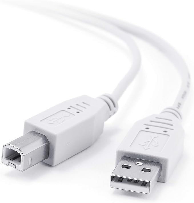 CSL - Cavo USB B - 5m Metri – Bianco Grigio - Cavo USB B per Stampante ...