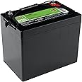 Amazon.com: Interstate Batteries 12V 75Ah AGM Deep Cycle Battery ...