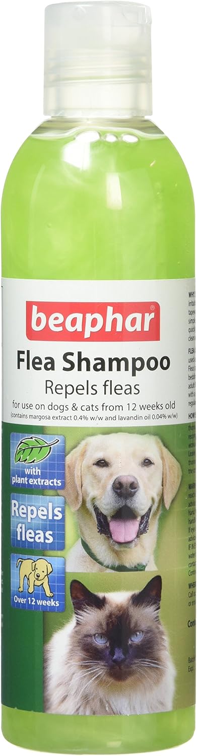 Beaphar Flea Shampoo Repels Fleas: Amazon.co.uk: Pet Supplies