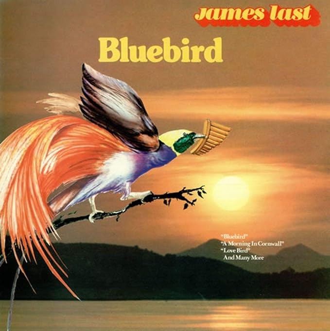 Bluebird: Amazon.co.uk: CDs & Vinyl