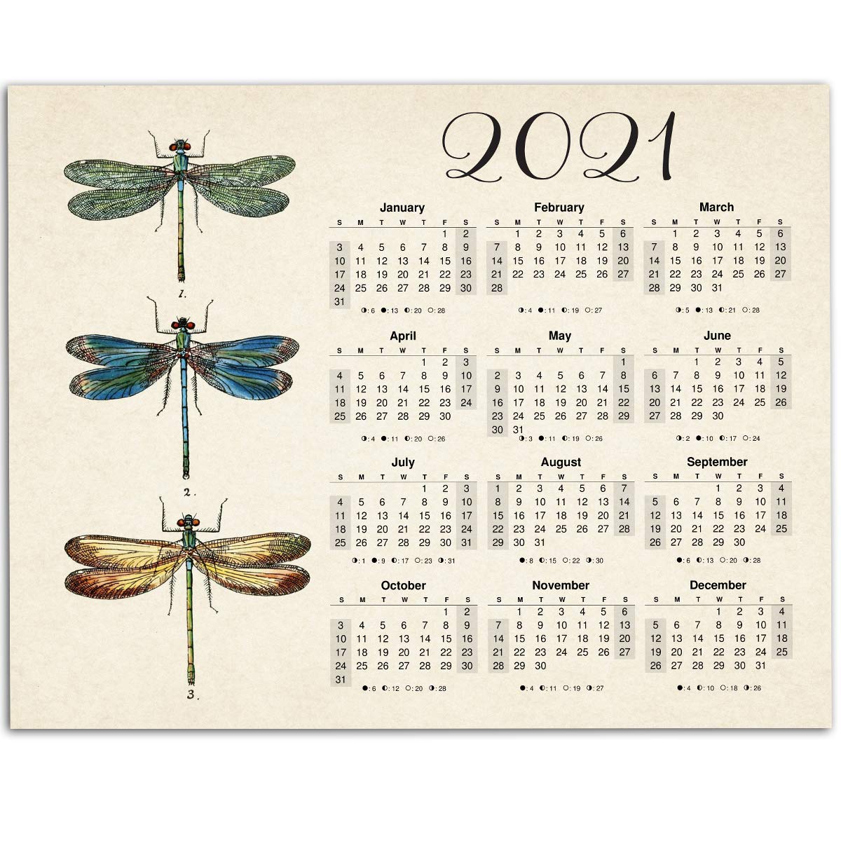 Amazon.com: 2021 Calendar - Vintage Dragonflies - 11x14 Unframed ...