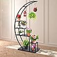 Amazon.com : TEANDE 4.7FT Semicircle Indoor Plant Rack, 5 Tier Metal ...
