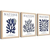 Amazon.com: Youillne Henri Matisse Wall Art Prints Flower Abstract ...