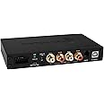 Amazon.com: Dayton Audio DSP-408 4x8 DSP Digital Signal Processor for ...