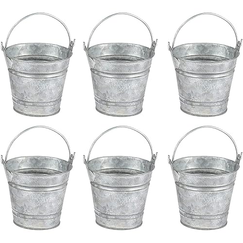 Small Galvanized Buckets Metal Bucket With Handle Assorted 10.5x11cm