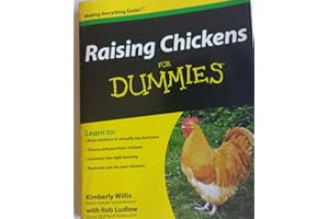 Amazon Best Sellers: Best For Dummies Guides