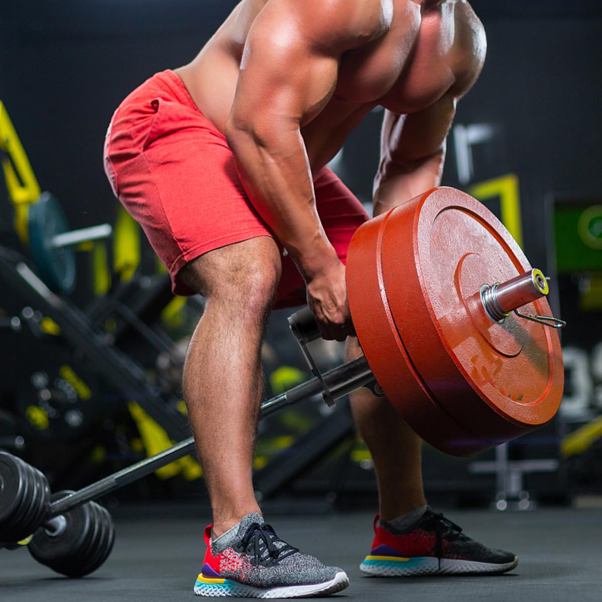 Mua veimia V Bar T-Bar Row Landmine Handle Attachment for Barbell Bars ...