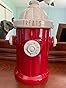 Amazon.com: Blue Sky Ceramic Fire Hydrant Treat Jar, White : Home & Kitchen