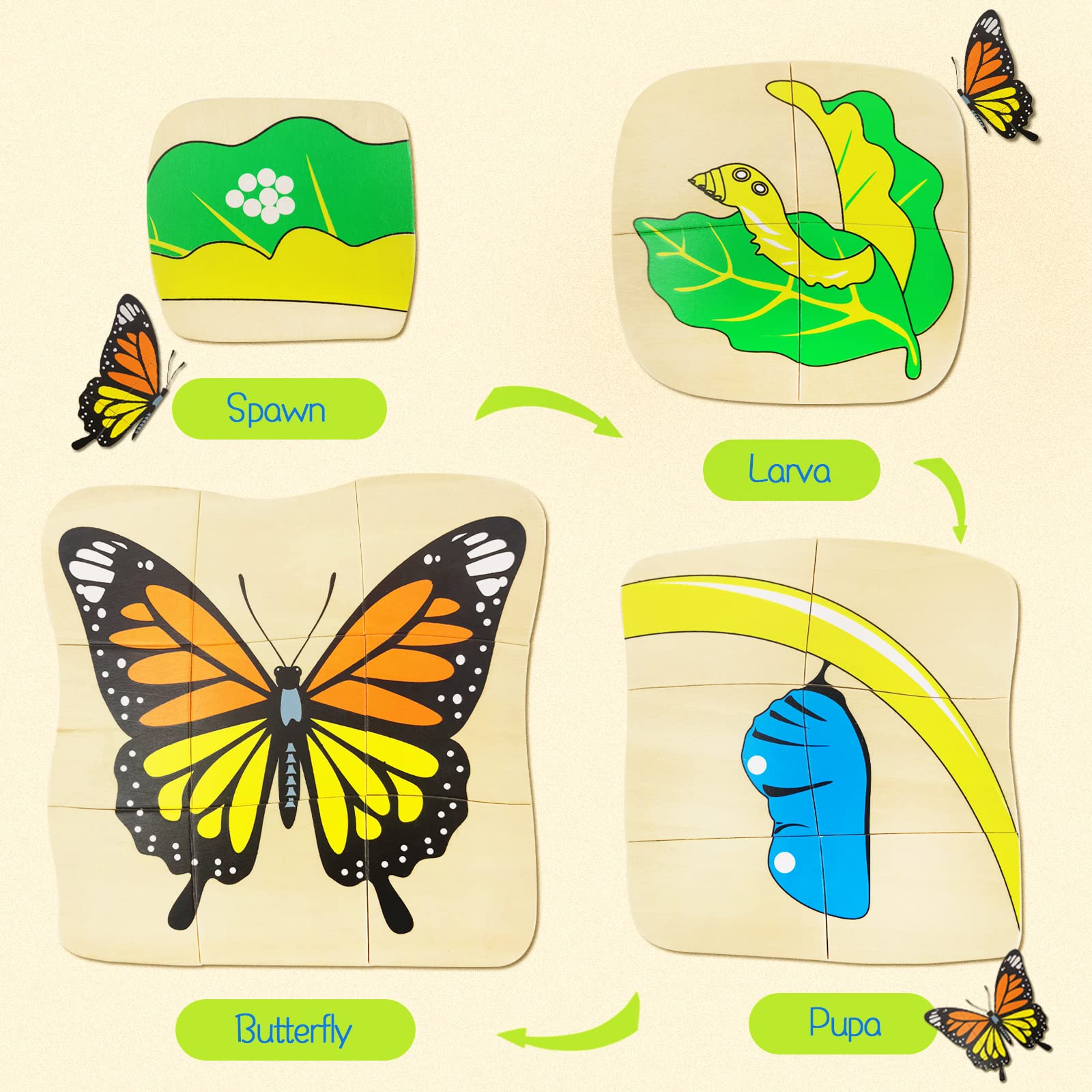 Mua Montessori Wooden Puzzles for Kids Ages 4-8, 4 Layer Life Cycle of ...