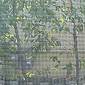 Amazon.com : UOKOO Camera Case : Camera & Photo