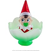 Amazon.com: The Elf on the Shelf Frost Pips Mini Blooms Elf Baby Girl ...