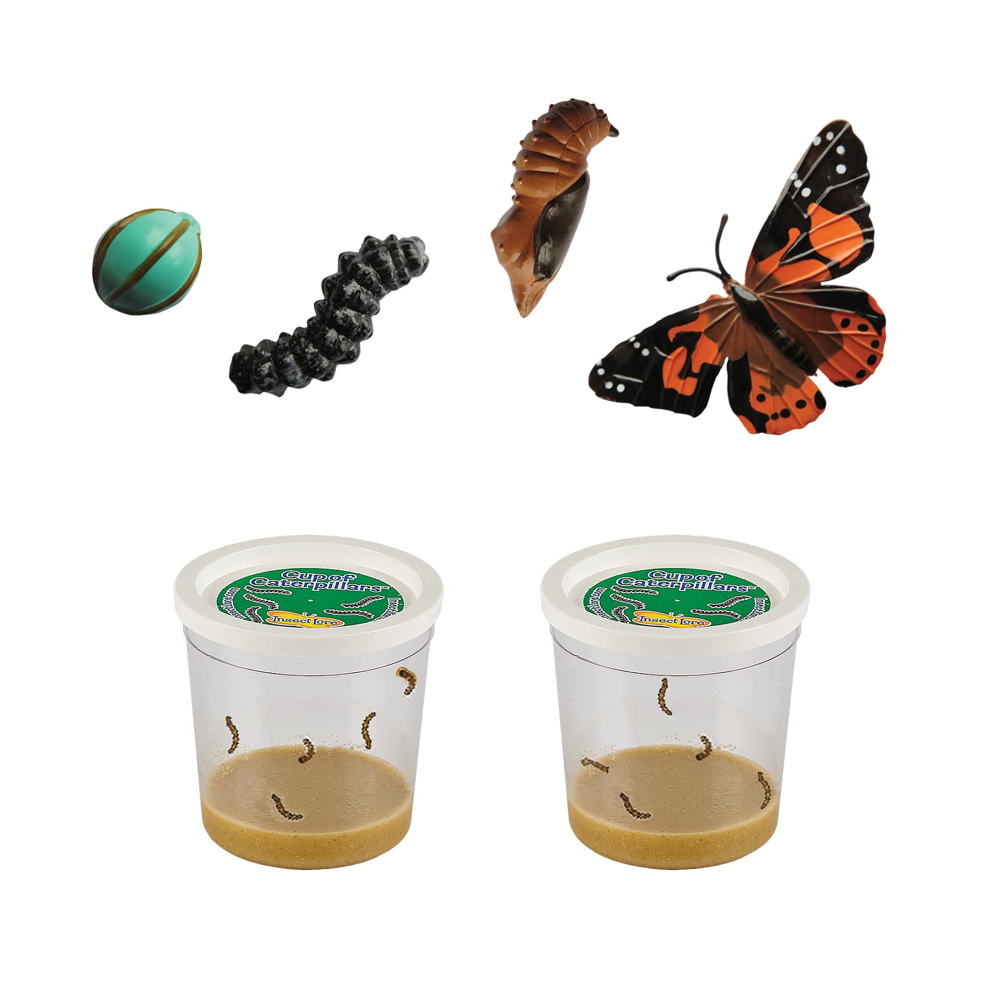 Mua Two Cups of Caterpillars and Butterfly Figurines | Insect Lore ...