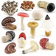 Amazon.com: Fungi Model Playsets 12 PCS Mushroom Figurines Party Favors ...