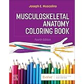 Musculoskeletal Anatomy Coloring Book: 9780323477314: Medicine & Health ...