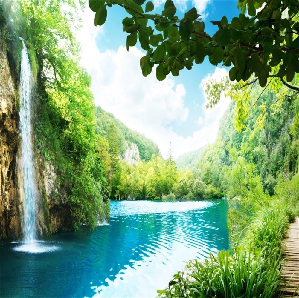 Nature Zoom Backgrounds Hutnom
