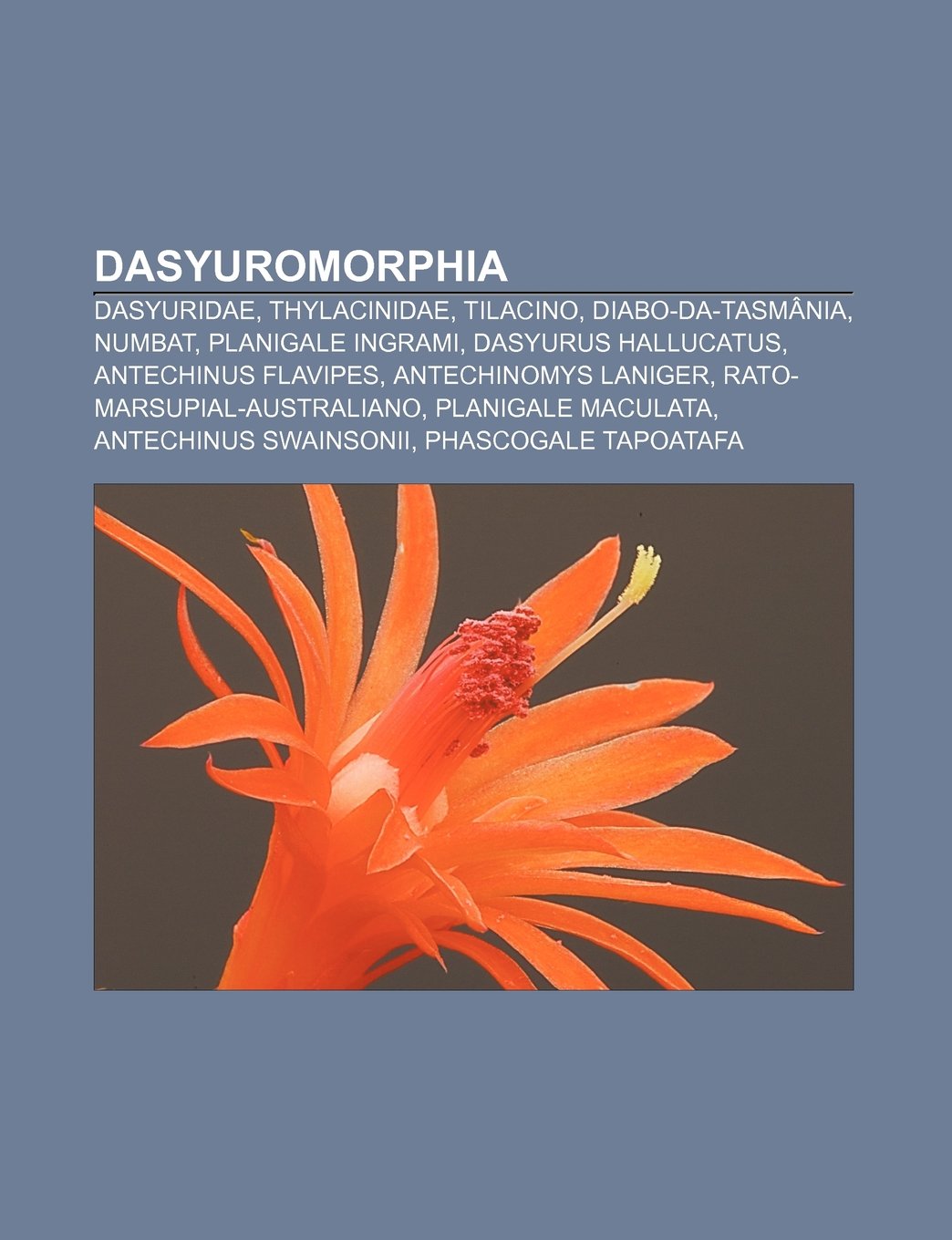 Dasyuromorphia: Dasyuridae, Thylacinidae, Tilacino, Diabo-Da-Tasmania ...