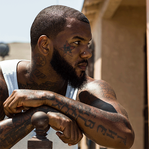 could you please some examples of Indo Brachid / Alpinid etc + mixed ...