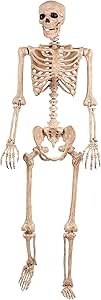 Amazon.com: Crazy Bonez Pose-N-Stay Skeleton : Home & Kitchen