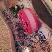 Amazon.com : Pink Hamster Wheel, the Wodent Wheel 'Jr.' 8" with ...