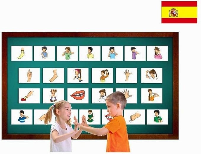 Amazon.com: Tarjetas de vocabulario - Partes del Cuerpo - Body Parts ...