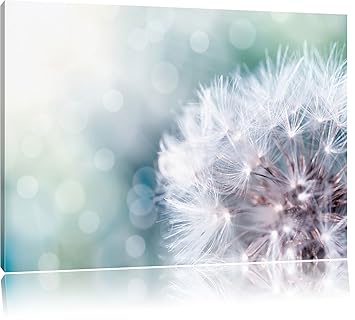 Zauberhafte Pusteblume, Format: 120x80 auf Leinwand, XXL riesige Bilder ...