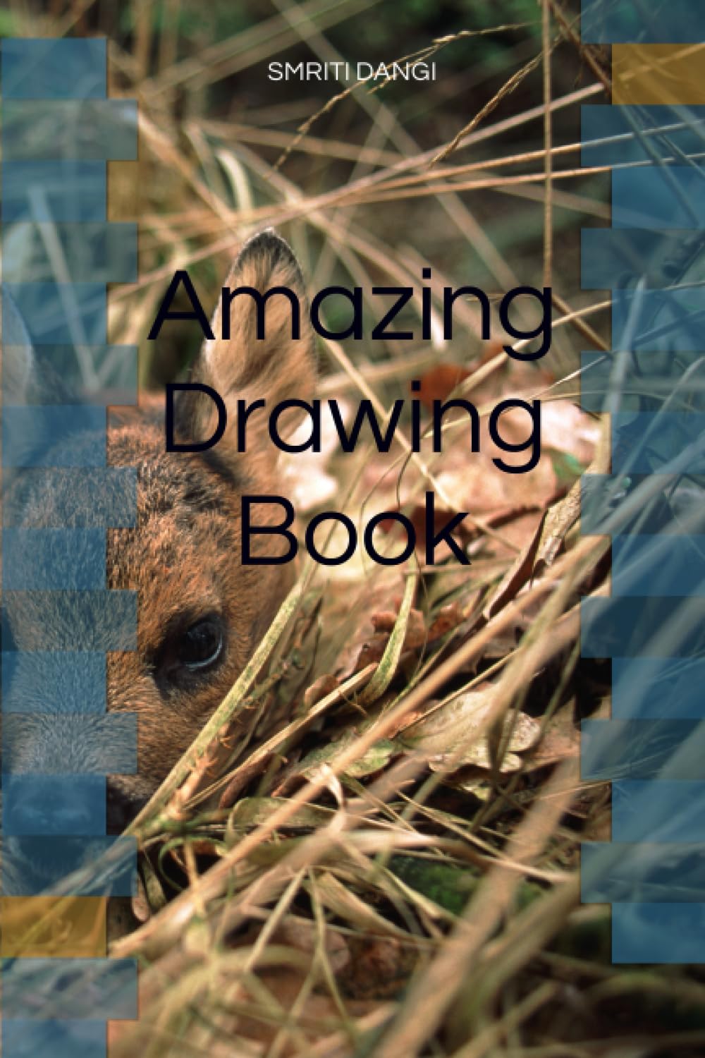 Mua Amazing Drawing Book trên Amazon Nhật chính hãng 2025 | Fado