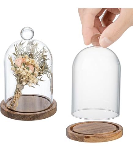 Mini Glass Bell Jar With Fluted Base Amazon.com: SUNNYCLUE Glass Bell
