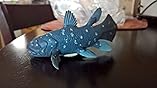Amazon.com: Safari Ltd Wild Safari Dinosaurs Coelacanth : Toys & Games