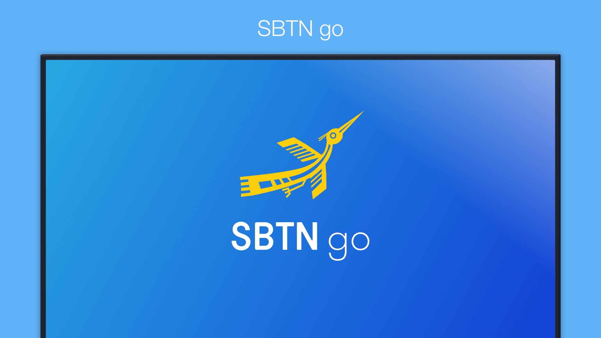 SBTN go:Amazon.com:Appstore for Android