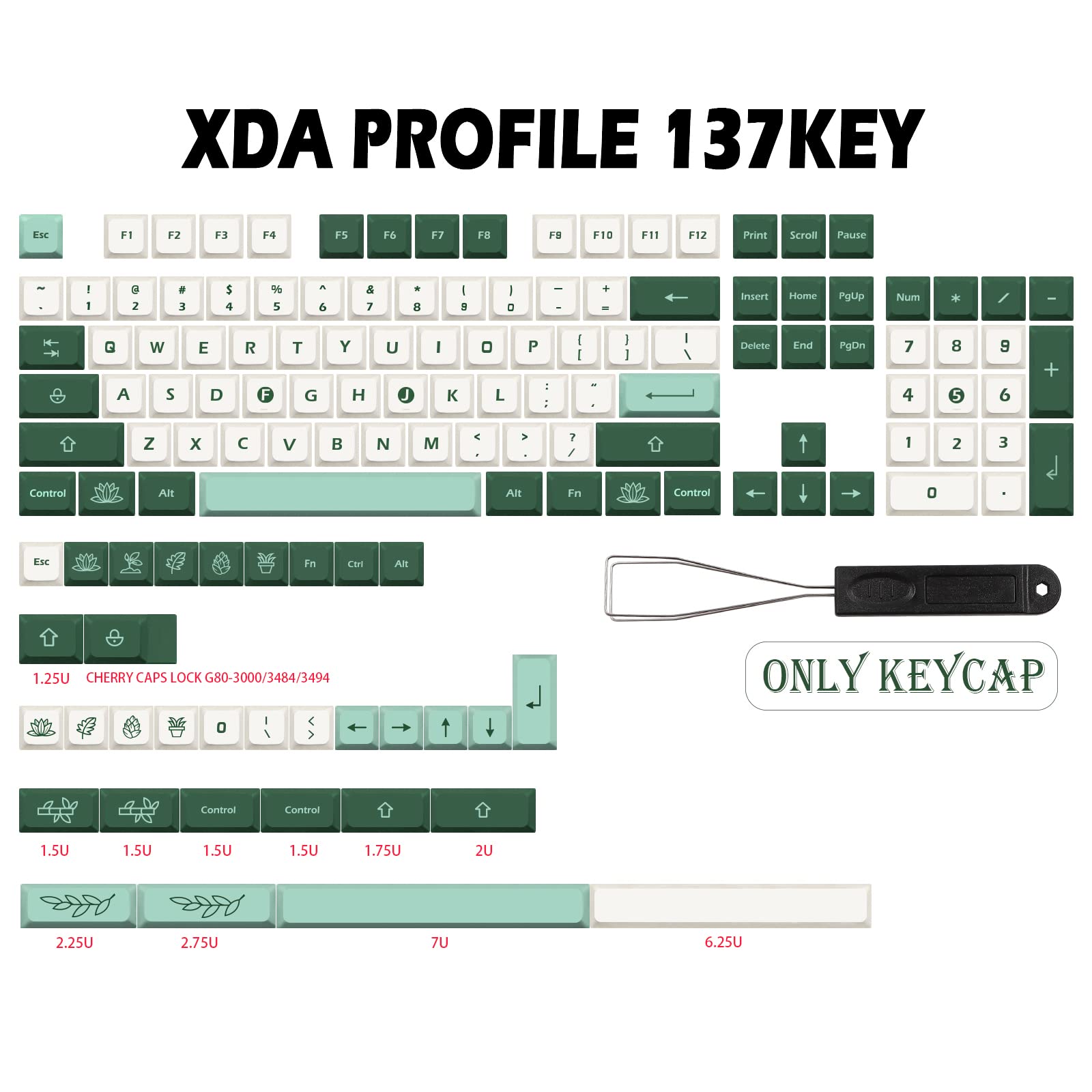 Mua JSJT XDA Keycaps- PBT Keycaps 137 Keys Custom Keycap Set Botanical ...