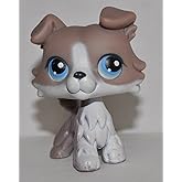 Amazon.com: Collie #58 (Raised Paw, Brown, Blue Eyes) - Littlest Pet ...