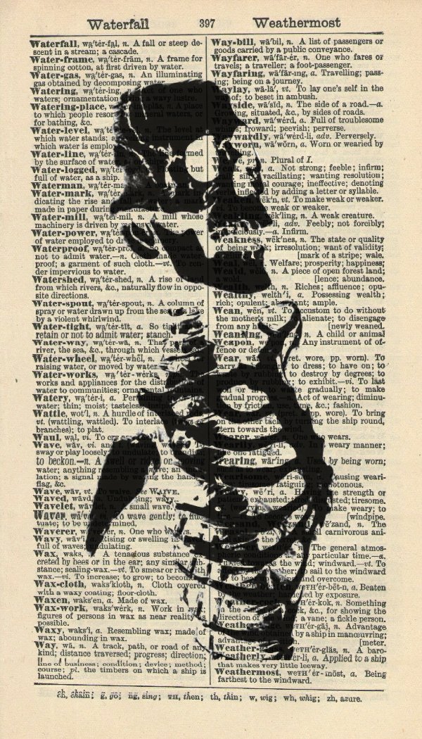 Amazon.com: X-Ray Skeleton Art Print - Anatomy Art Print - Vintage Art ...