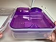 Amazon.com: Sistema Bento Box Adult Lunch Box with 2 Compartments ...