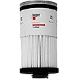 Amazon.com: Fleetguard FS20313 Fuel Filter