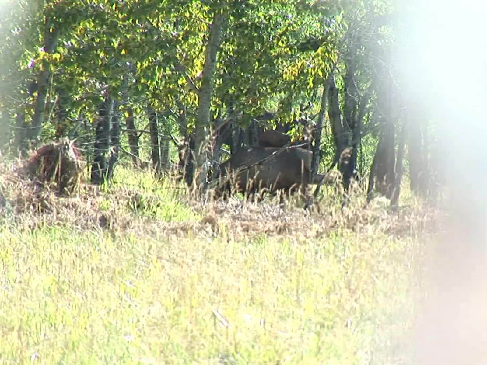 Watch Game Chasers - Season 2 | Prime Video