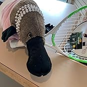 Amazon.com: VIAHART Prudence The Platypus | Almost 2 Foot Long Large ...