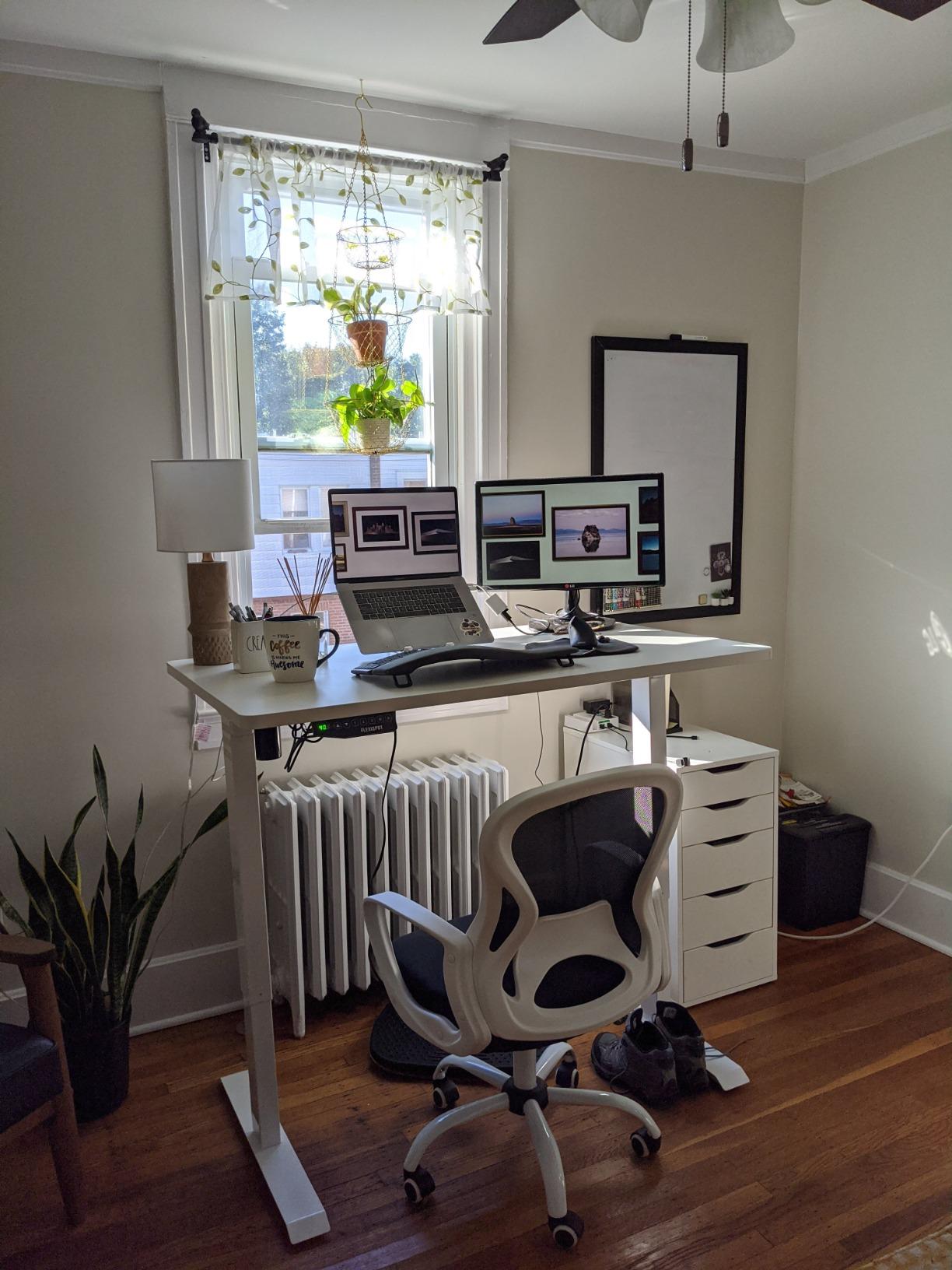 $31/mo - Finance FLEXISPOT EN1 Essential Electric Stand Up Desk ...