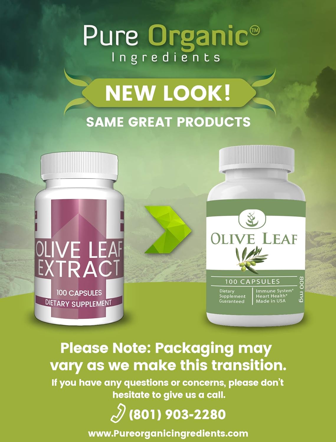 Olive Leaf Extract Capsules (100 Capsules, 800 mg per Serving) (2 ...