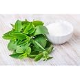 Amazon.com : Seeds Stevia (Candyleaf, Sweetleaf, Sugarleaf) Natural ...