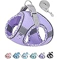 Amazon.com : Petank Dog Harness for Small Medium Dogs No Pull, Puppy Harness and Leash Set, Step ...